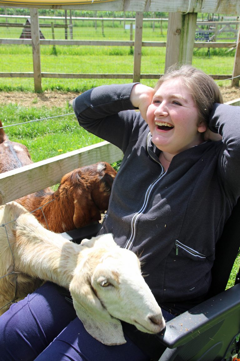 Gallery : Fairytale Farm