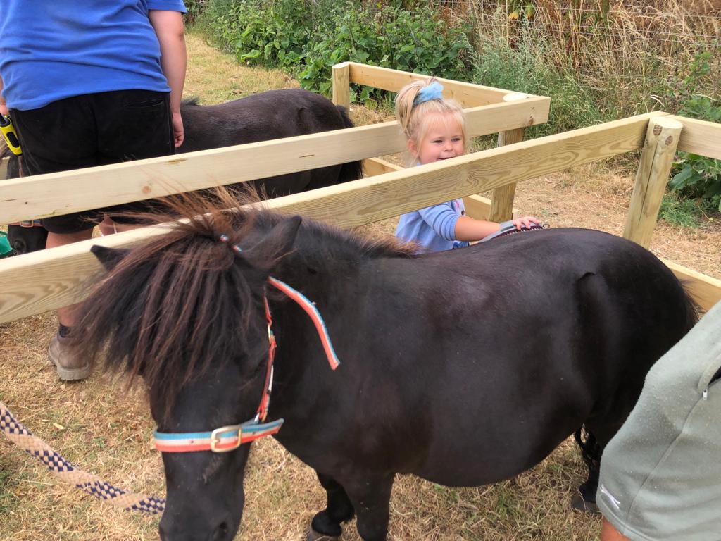 Pony Pampering! : Fairytale Farm