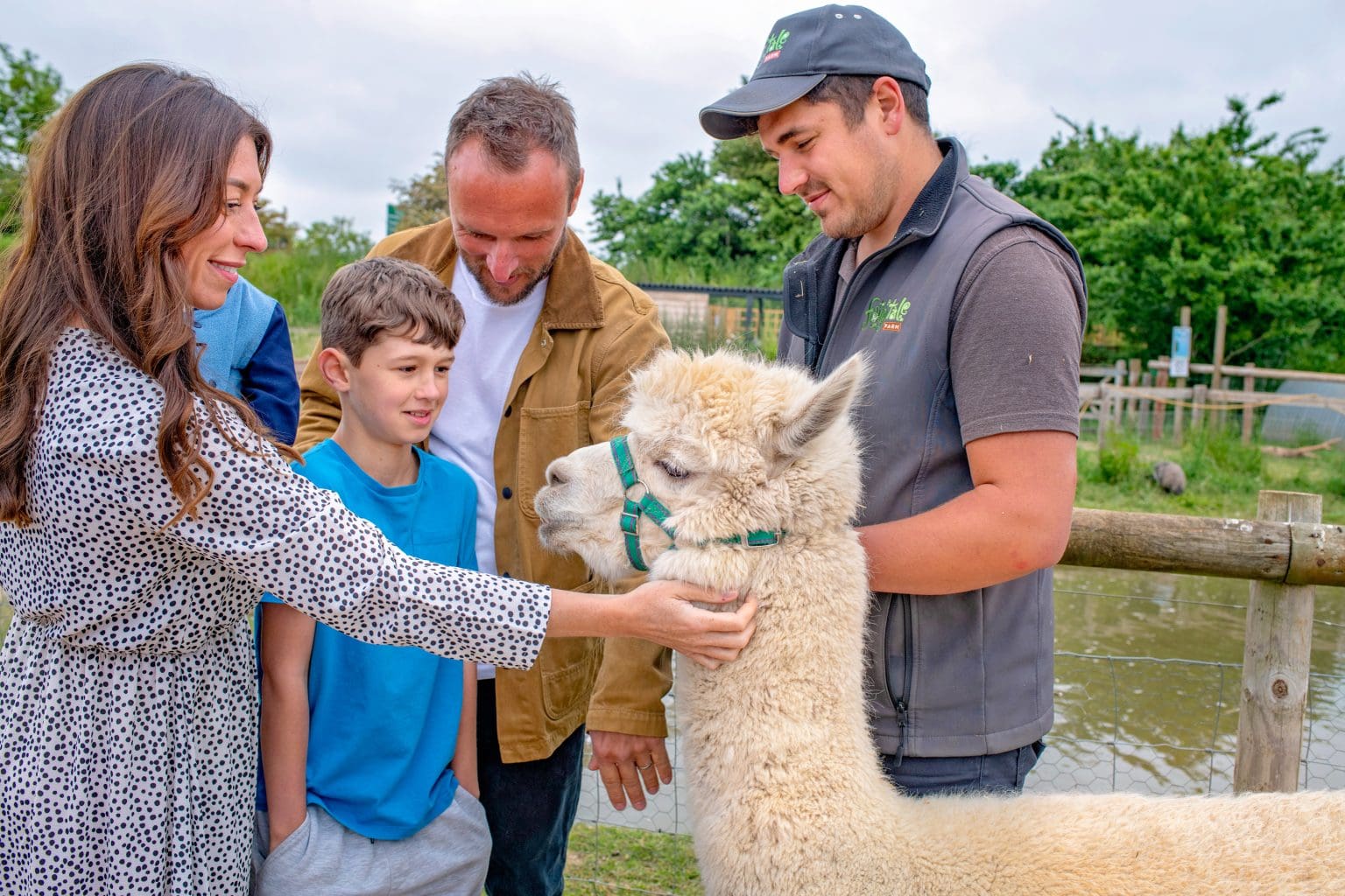 Walking with Alpacas returns for 2023 : Fairytale Farm