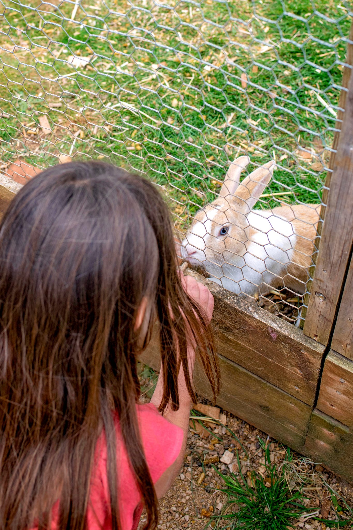 Gallery : Fairytale Farm