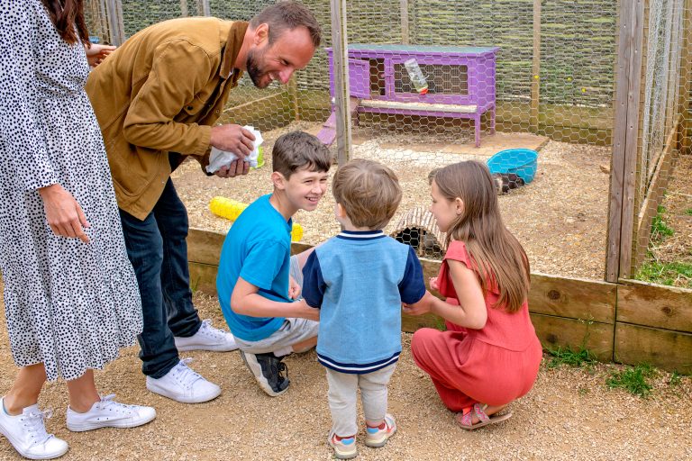 Gallery : Fairytale Farm