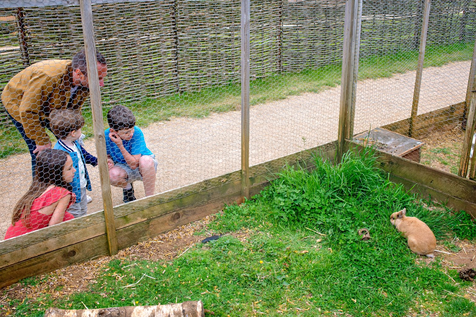 Gallery : Fairytale Farm