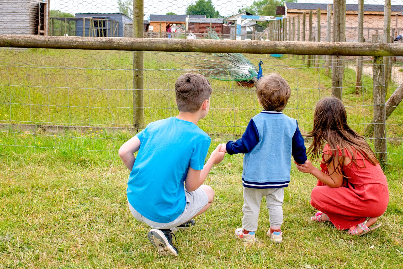 Gallery : Fairytale Farm