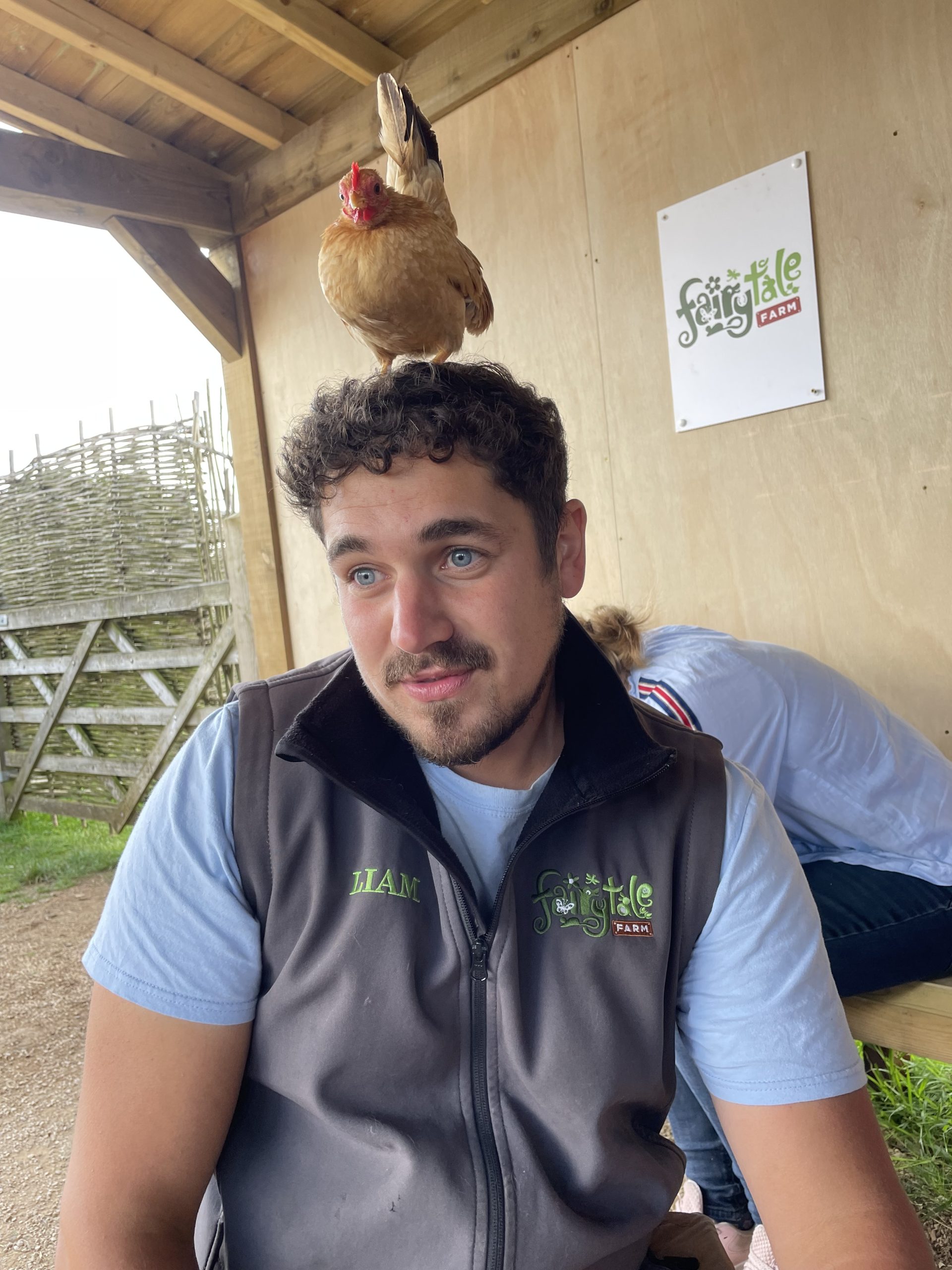 Excitement as Fairytale Farm is shortlisted in VisitEngland’s annual ...