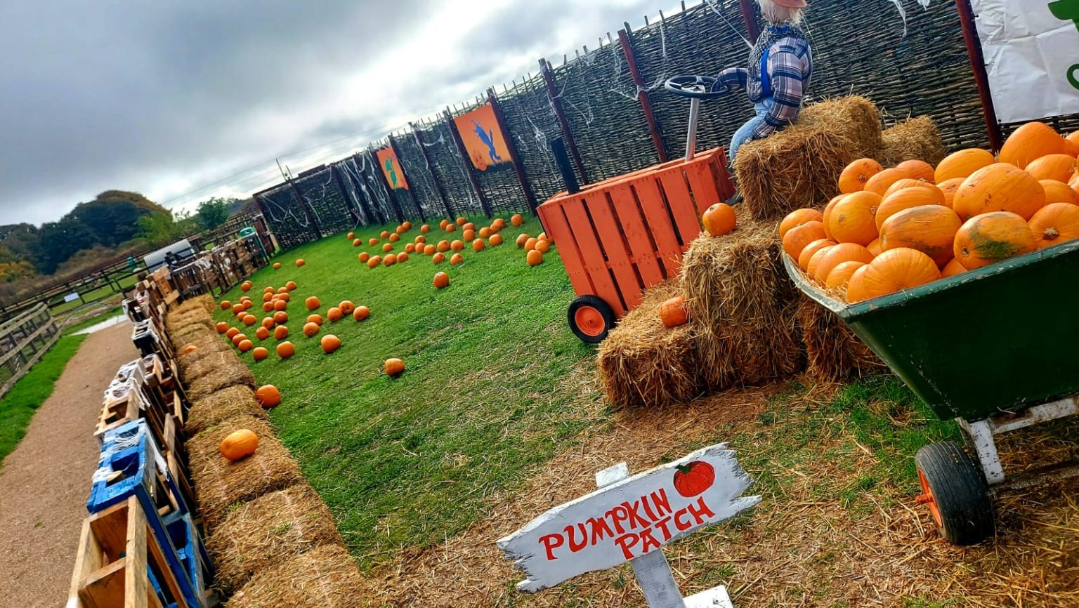 Scarily Ever After: Fairy Tale Villains : Fairytale Farm